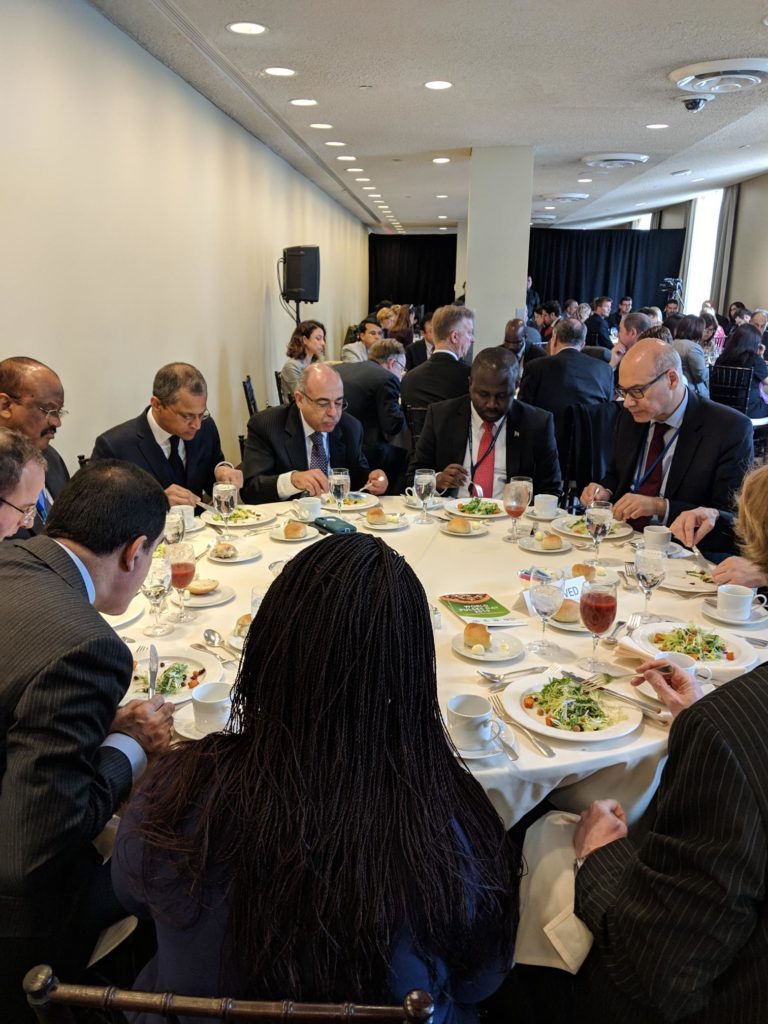 United Nations Inaugural Celebration in New York – World Pulses Day