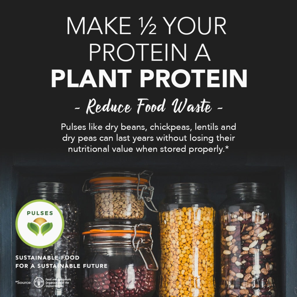 Protein Campaign – World Pulses Day