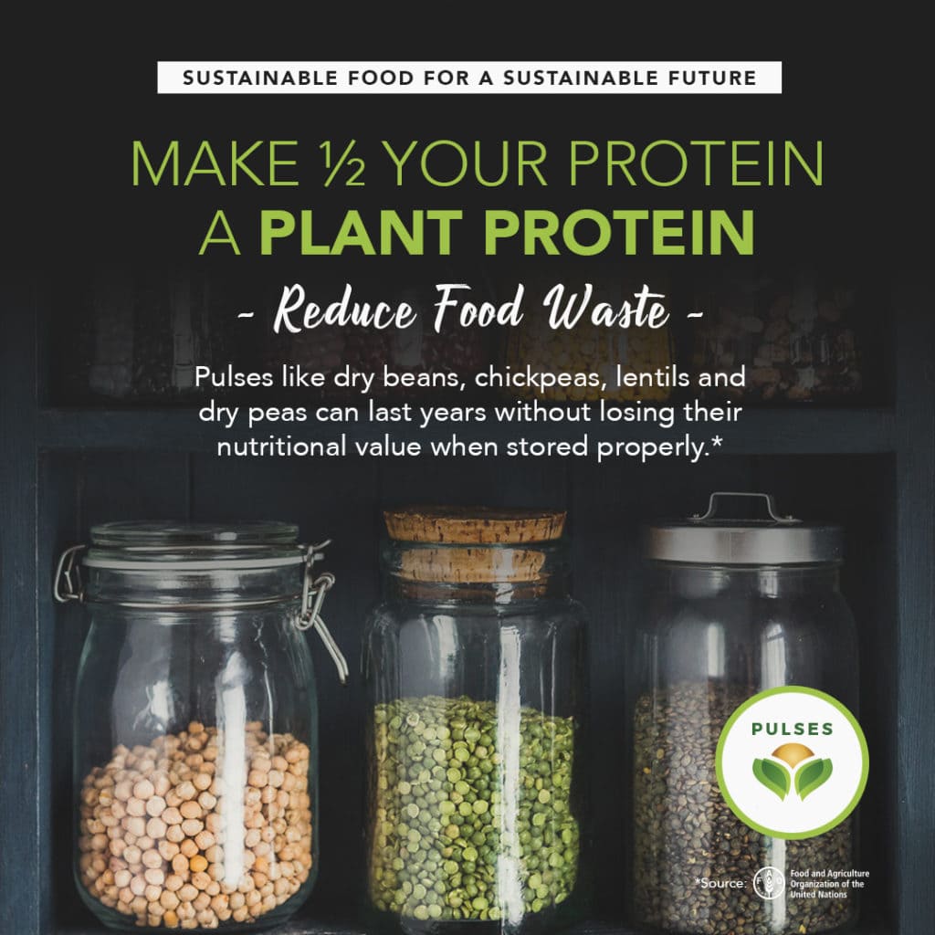 Protein Campaign – World Pulses Day