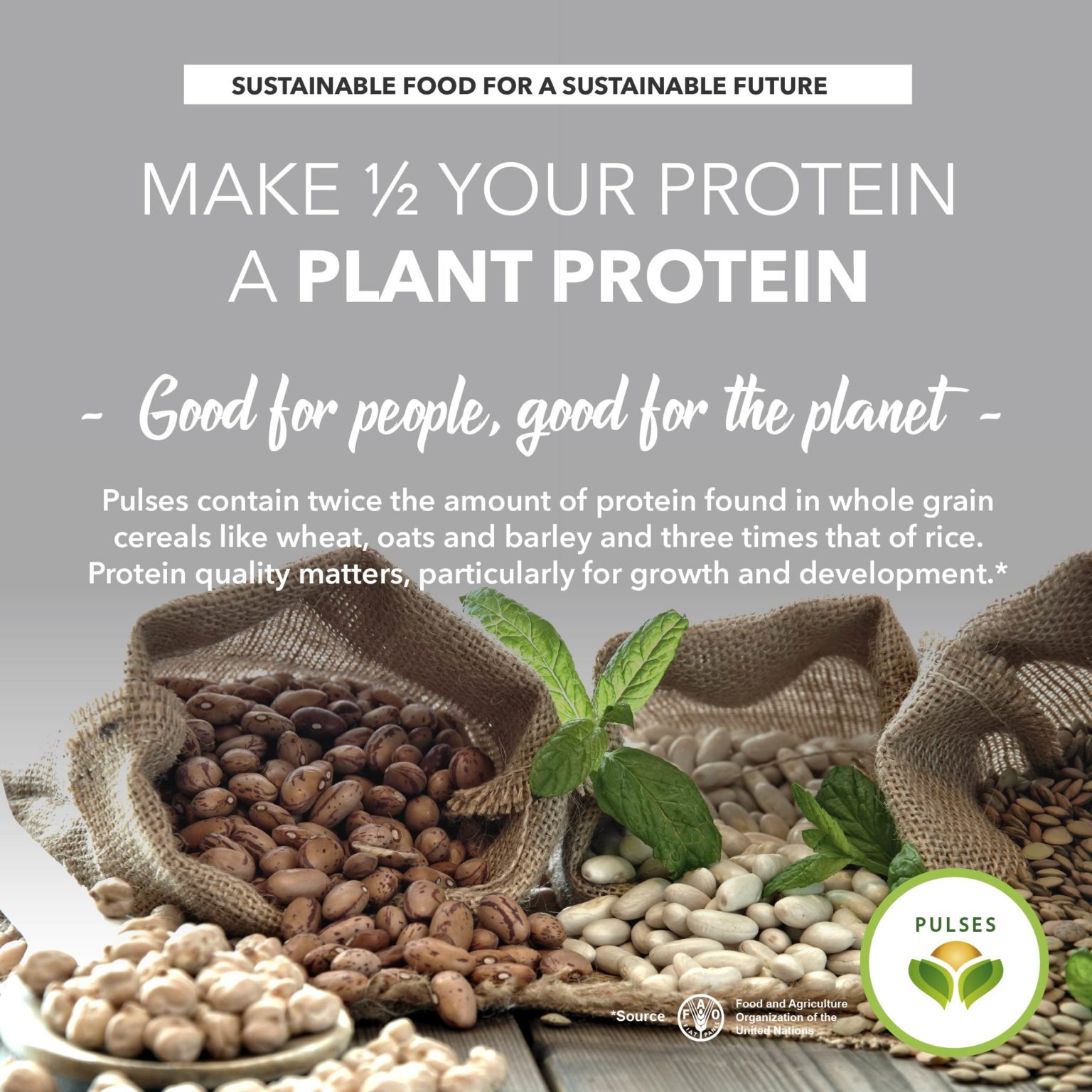 Protein Campaign – World Pulses Day