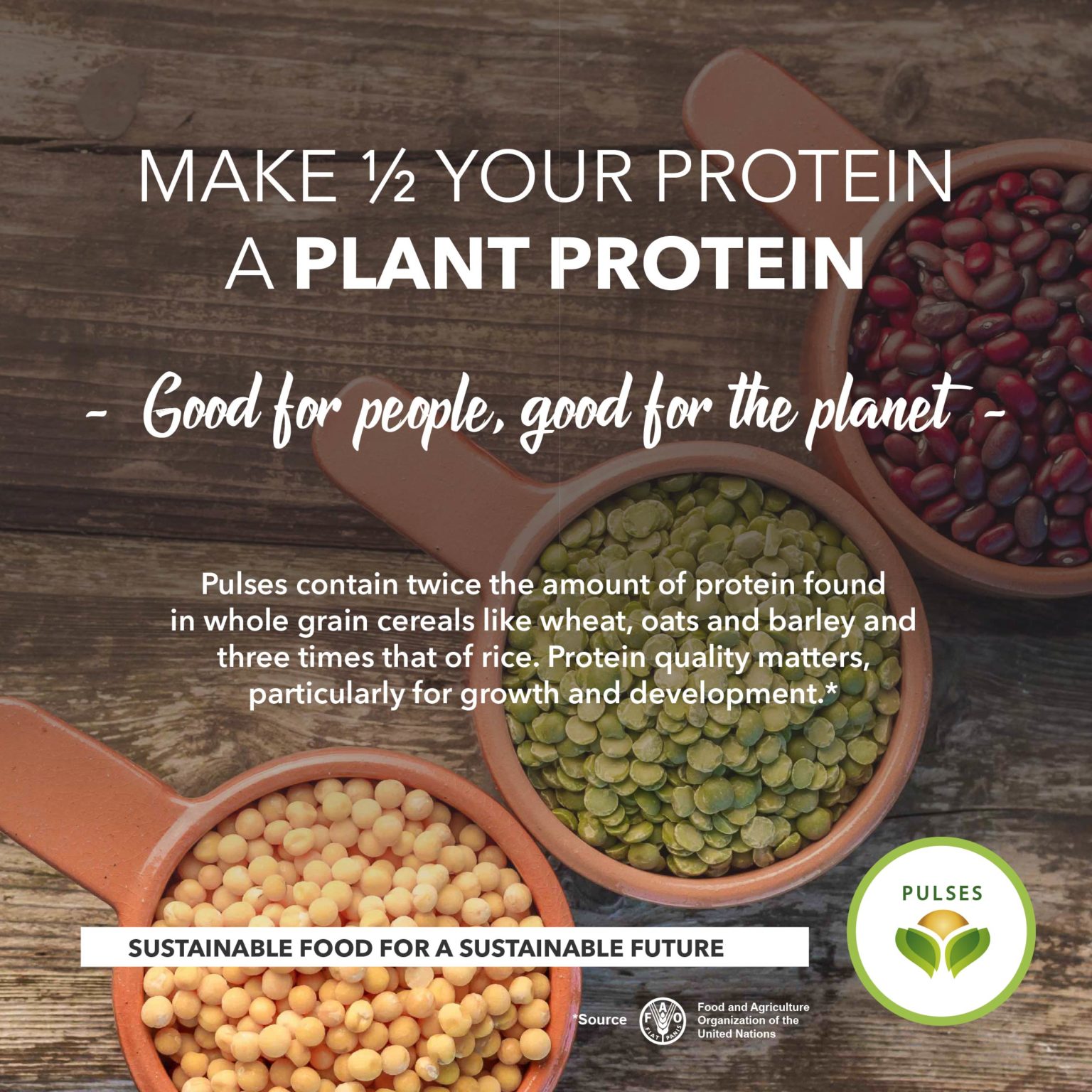 Protein Campaign – World Pulses Day