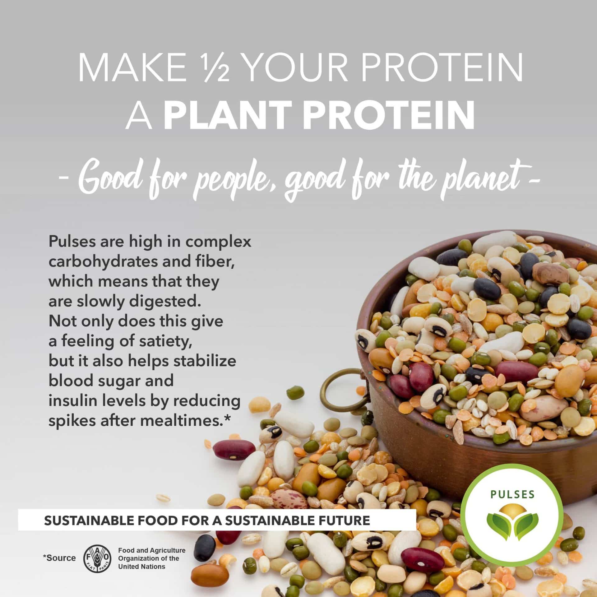 Protein Campaign – World Pulses Day