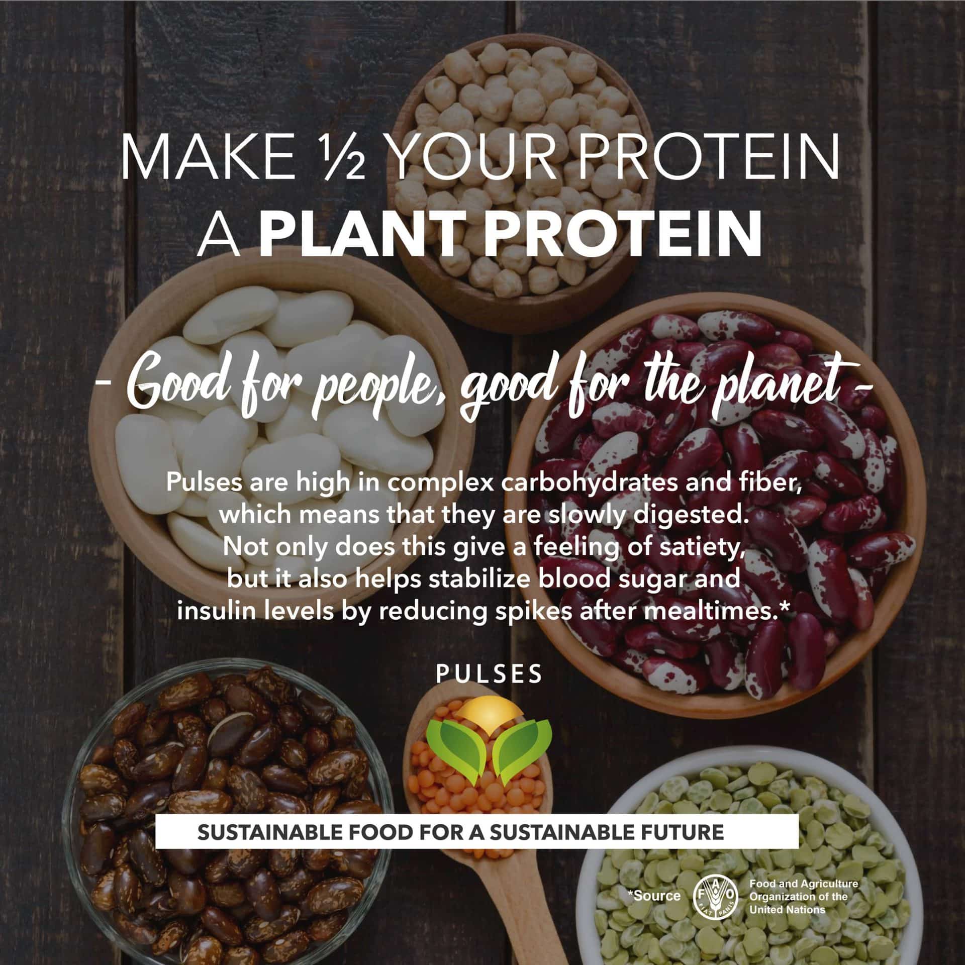 Protein Campaign – World Pulses Day