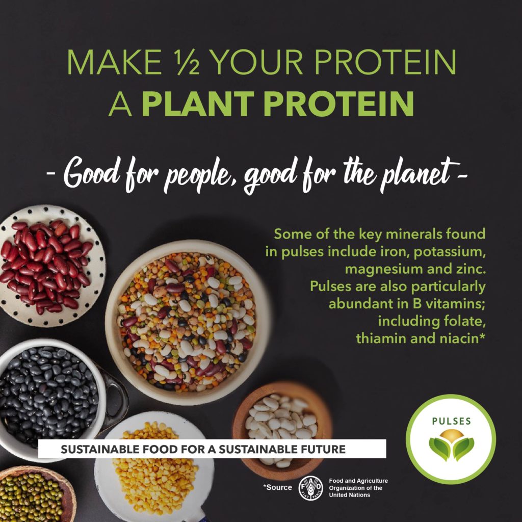 Protein Campaign – World Pulses Day