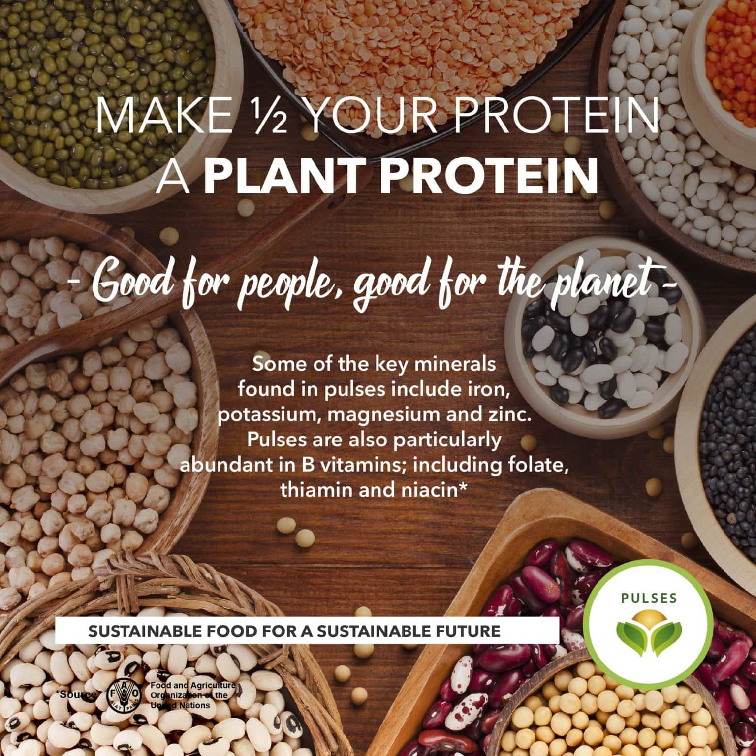 Protein Campaign – World Pulses Day
