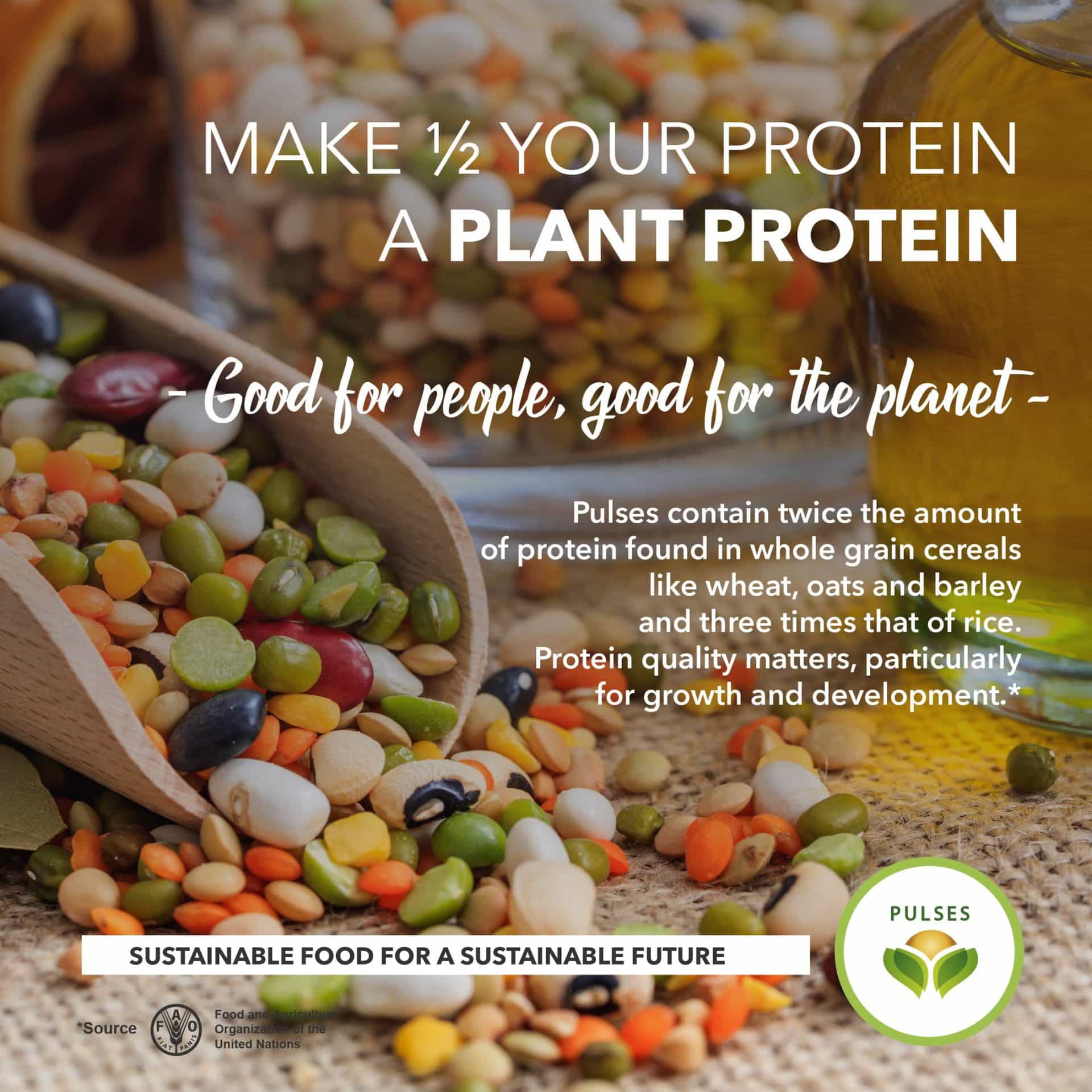 Protein Campaign – World Pulses Day