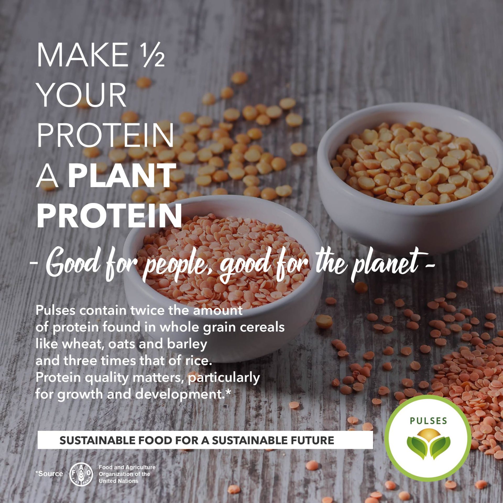Protein Campaign – World Pulses Day