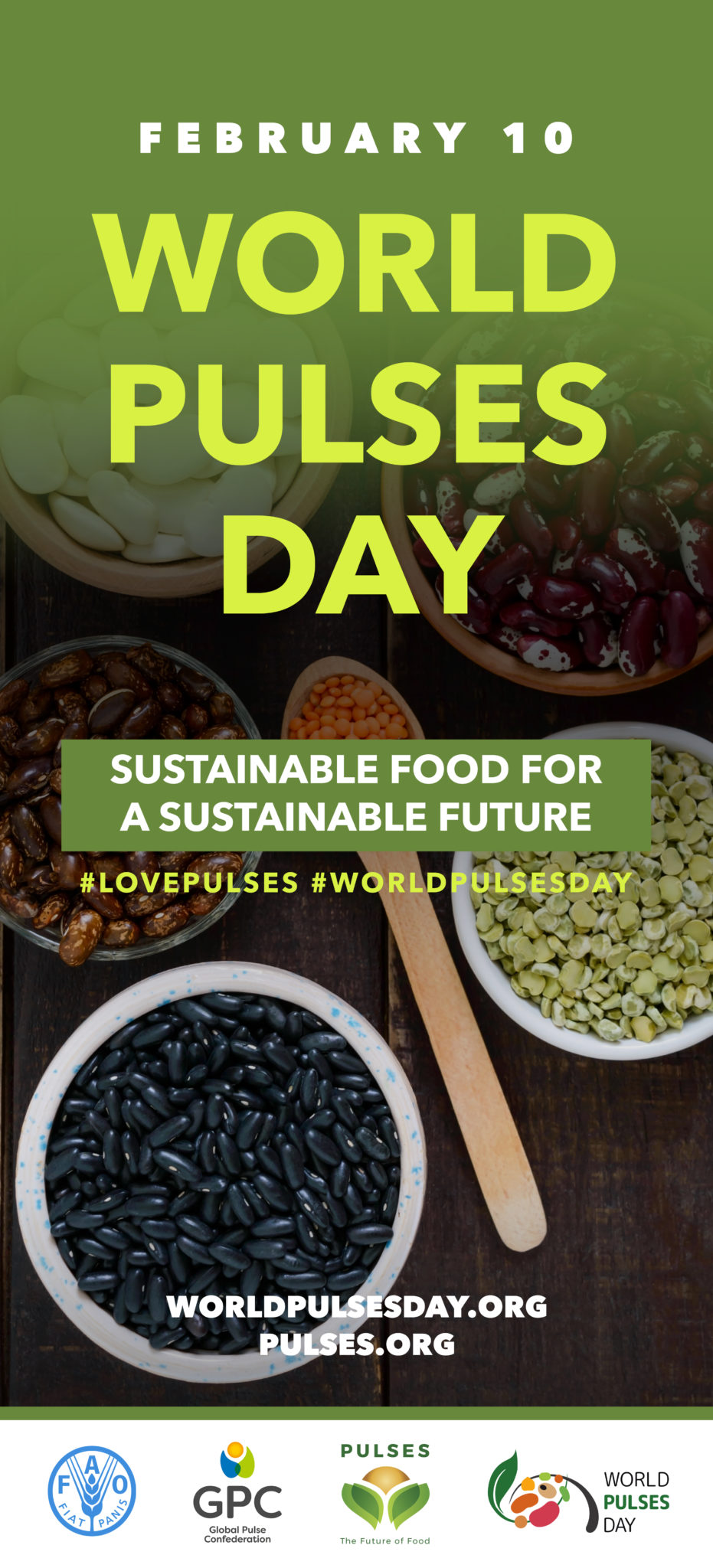 Banners – World Pulses Day