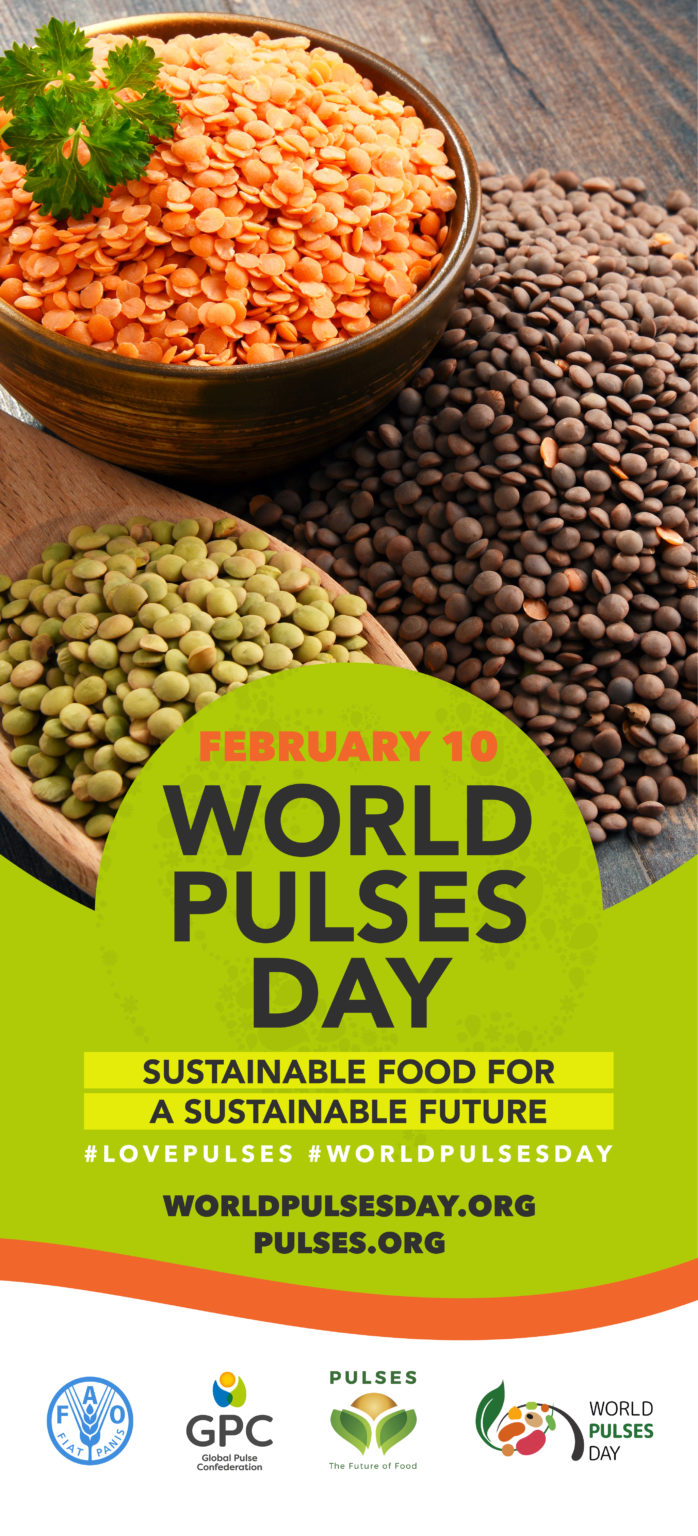Banners – World Pulses Day