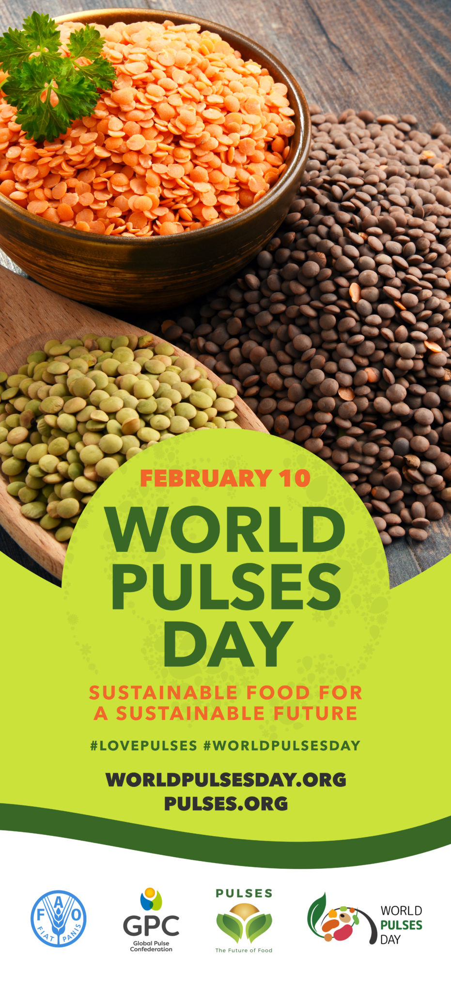 Banners – World Pulses Day
