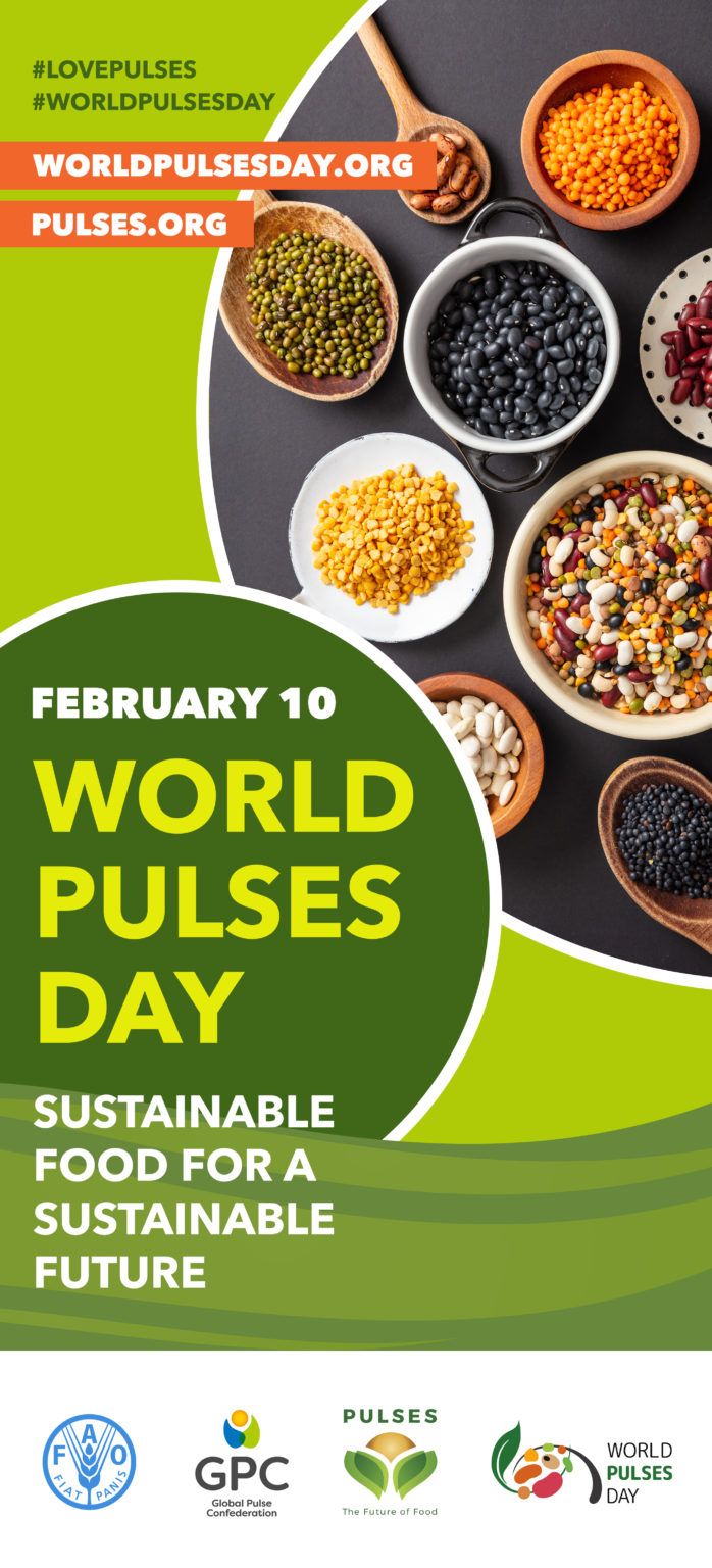 Banners – World Pulses Day